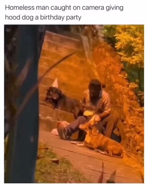Wholesome Meme Subido Por PASSWORD123456789 Memedroid