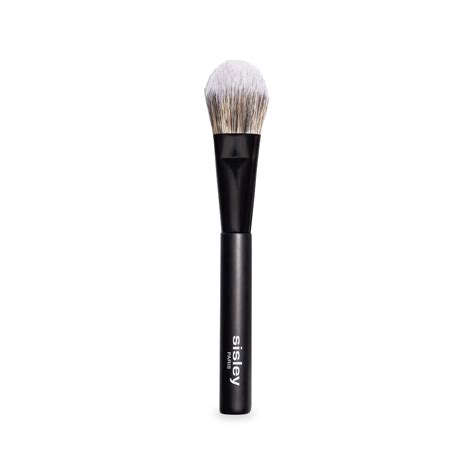 Sisley Pinceau Fond De Teint Fluide Acheter En Ligne Manor