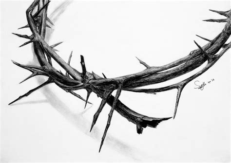 Crown Of Thorns Pencil Drawing Art Print By Syella Crown Of Thorns