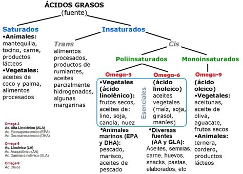 Ácidos grasos Lýsi Costa Rica