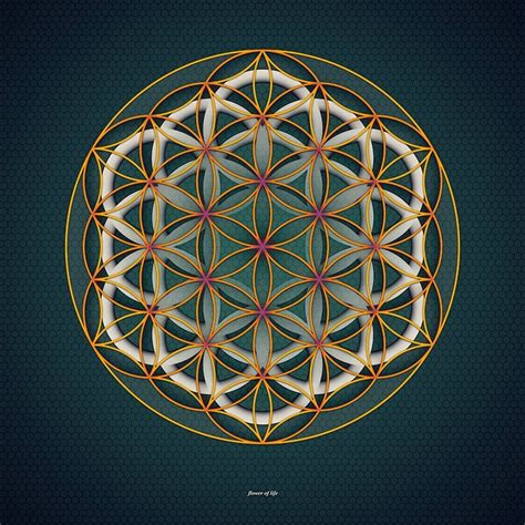 Flower Of Life Wallpaper Sacred Geometry Art Sacred Geometric