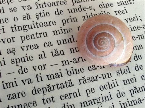 Ziua Limbii Rom Ne Care Sunt Cele Mai Frecvente Gre Eli Gramaticale