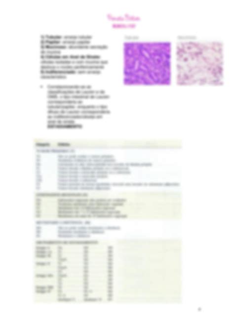 SOLUTION Resumo Neoplasias De Est Mago E Delgado Studypool