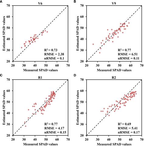 frontiers prediction of vertical distribution of spad values within maize canopy based on