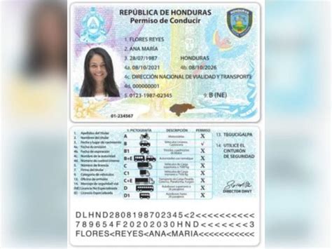 Guía paso a paso Cómo obtener una licencia de conductor de autobús en