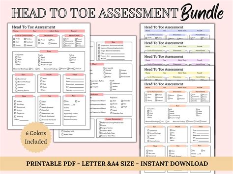 Head To Toe Assessment Template Nursing Checklist Nursing Student Notes