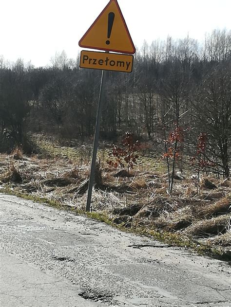 DROGI POWIATOWE W GMINIE ŁĄCZNA Gmina Łączna