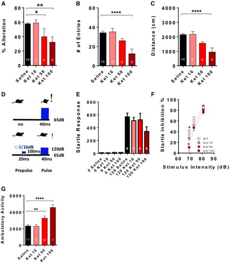 Dose Effect Of Acute Ketamine On Working Memory And PPI A C Y Maze