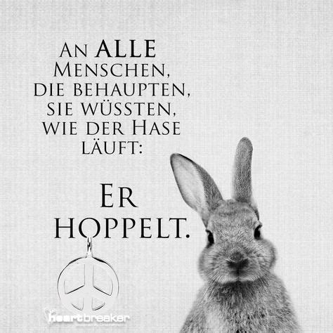 Hasen Spr Che Ideen Kaninchen Spr Che Zwergkaninchen