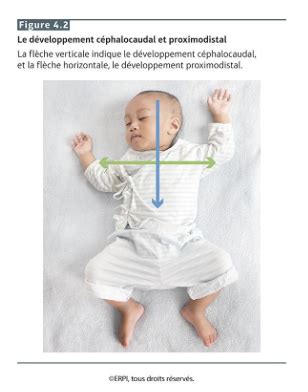 Module Scin La Petite Enfance D Veloppement Physique