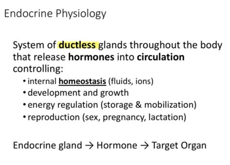 ENDO Intro To Endocrine Flashcards Quizlet