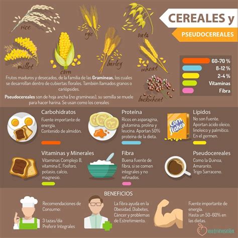 Cereales Del Plato Del Buen Comer Nombres Y Ejemplos Images And