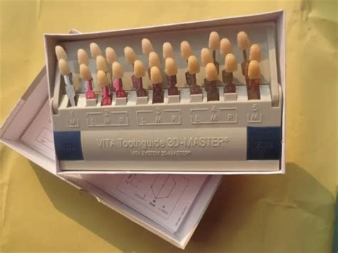 Dental Vita 3D Master Tooth Guide System 29 Shades Teeth Color Chart