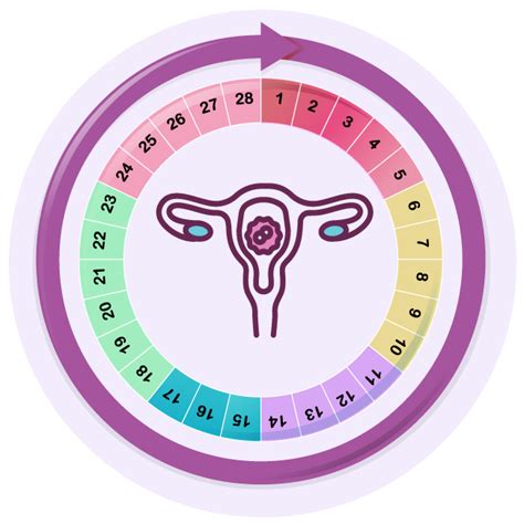 Conoces tu salud fértil Salud Femenina