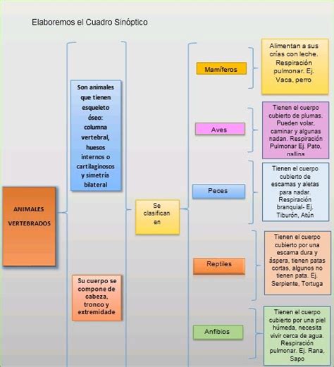 Ejemplo De Cuadro Sinoptico Para Ni Os Mapas Mentales Para Ninos