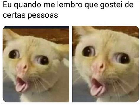 Quando você se sentir inútil veja essa foto Memes