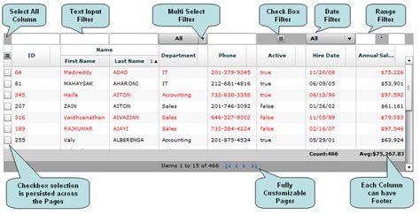 Custom Flex Datagrid Advanced Datagrid Component Support For Filter