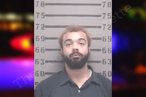 Mego Miles Dougherty County Jail Bookings