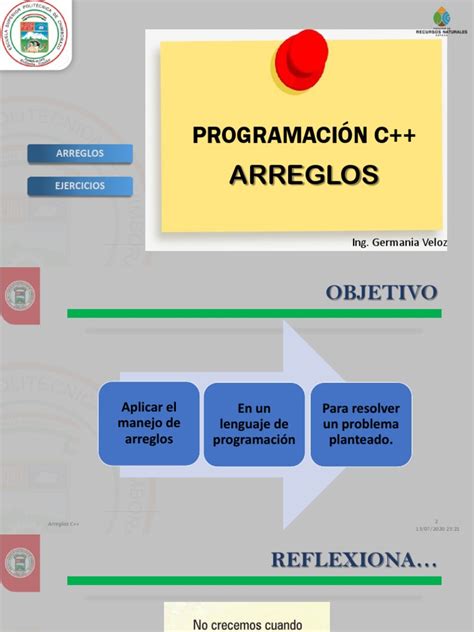 13 arreglos c pdf estructura de datos de matriz c