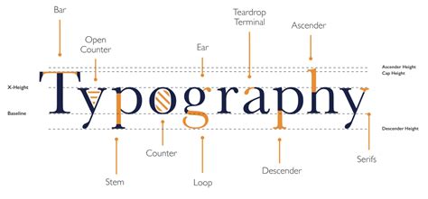 Guía UX Qué es la Type Anatomy Anatomía de la tipografía