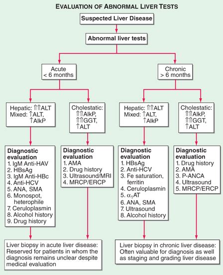 Liver Function Test Normal Range Chart Pdf Ponasa