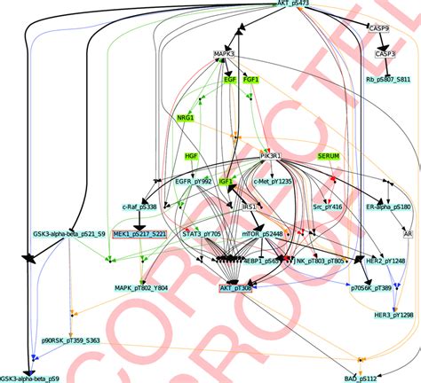boolean network of breast cancer cell lines the aggregated graph for download scientific