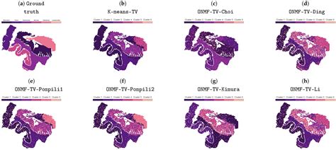 j imaging free full text spatially coherent clustering based on orthogonal nonnegative
