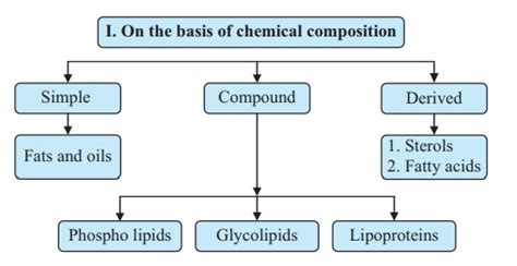 Fat Functions Classification Digestion Absorption And Storage