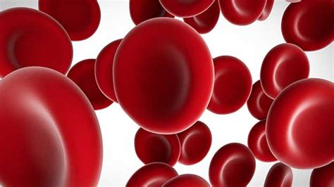 External Hemorrhoid With Blood Clot