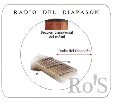 Conoce el Mástil de tu Guitarra ROSGUITARS