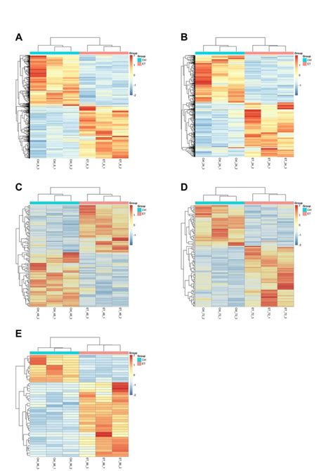 Heatmaps And Hierarchical Clustering Of All DEG Rows As Genes And