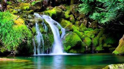 Musica Relajante Sonidos Naturaleza Relaxing Music Nature Sounds
