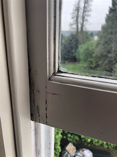 A Beginners Guide To Painting Wooden Sash Windows MELANIE LISSACK