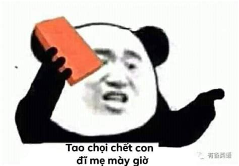 Ghim của Yến Lê trên meme gấu trúc Funny memes Chuyện cười Ảnh vui