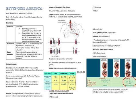 Estenosis Aortica Docpotasio UDocz