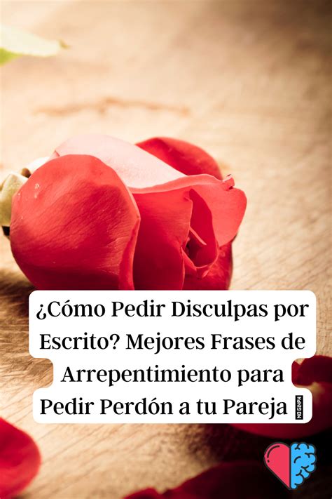 Cómo Pedir Disculpas por Escrito Mejores Frases de Arrepentimiento