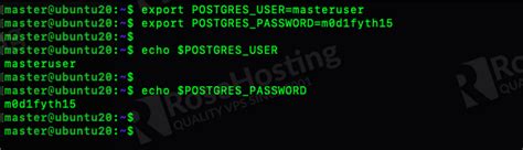 How To Set Environment Variables In Docker RoseHosting