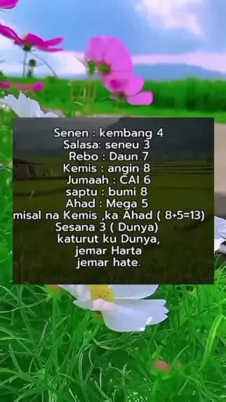 Majo Wa Kekkyoku Sono Kyaku To The Animation 2 Discover