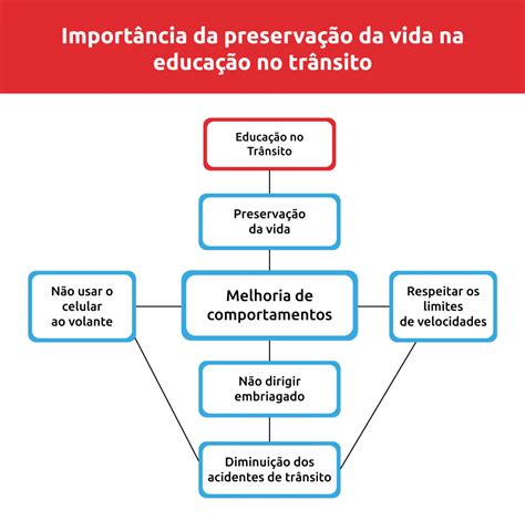 Educação no trânsito definição importância e como promovemos DOK