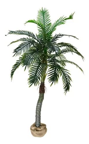 Planta Palmeira Coqueiro Artificial Grande 186cm P vaso Frete grátis