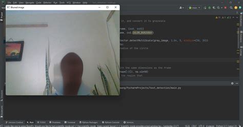 How To Blur Human Faces In Real Time With Python