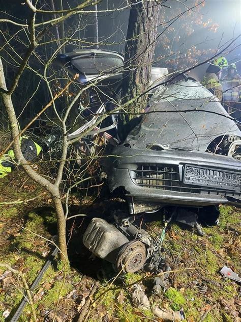 Samochód uderzył w drzewo Kierowca zginął na miejscu