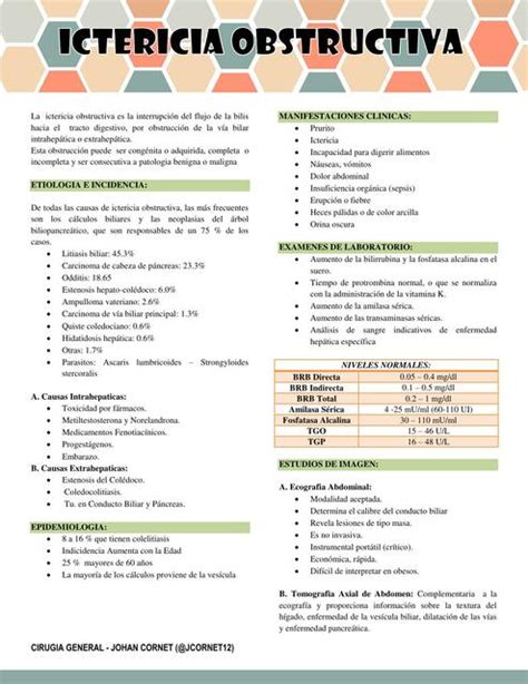 Ictericia Obstructiva Johan Jose Cornet Sibada Udocz