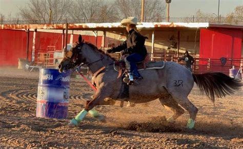 Participar N Juarenses En Campeonato Nacional De Rodeo De La Conade