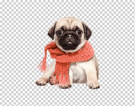 Fawn Pug Illustration Pug Shiba Inu Snoopy Cachorro Gato Perro Lindo
