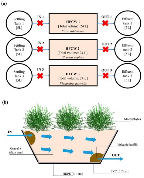 Water Treatment Wetland Design At Margaret Galvez Blog