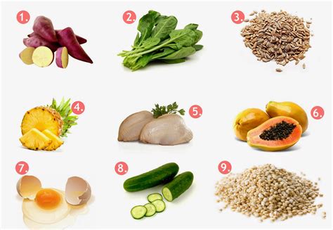 Alimentos Que Ajudam A Emagrecer E Ganhar Massa Muscular