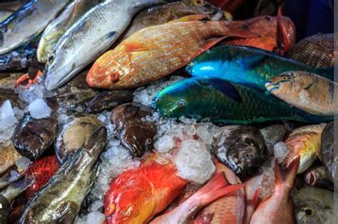 Cara Memilih Ikan Segar Di Pasar Berita Serba Serbi Pelayanan Publik
