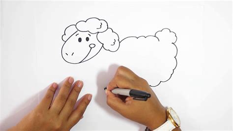 Cómo Dibujar una OVEJA Dibujo de una OVEJA paso a paso YouTube