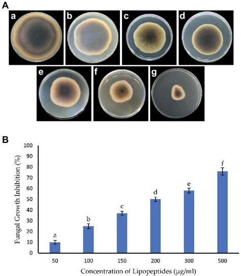Frontiers Biocontrol Potential Of Lipopeptides Produced By The Novel